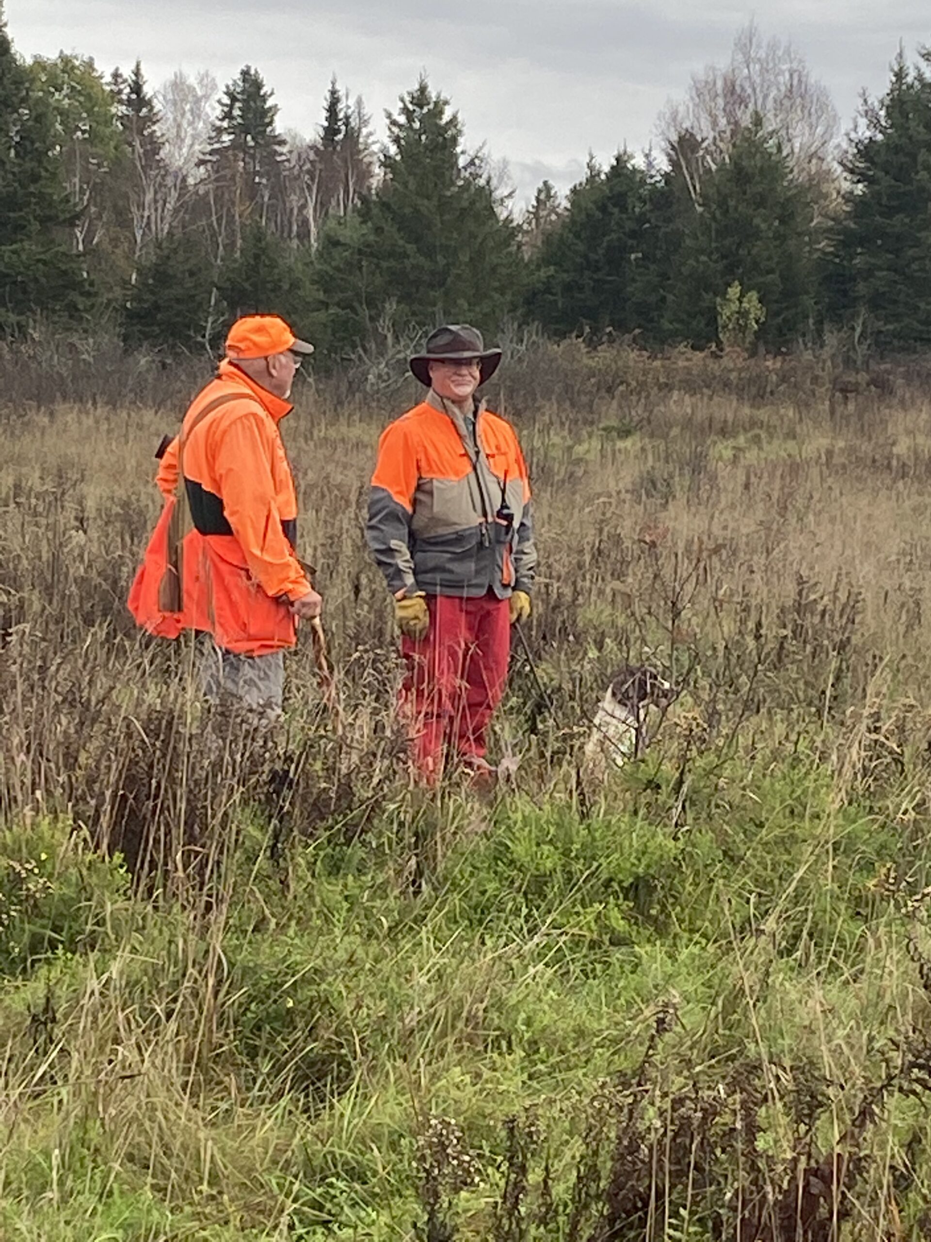 Gallery – Open 2021 – Canadian National Spaniel Field Trial Association